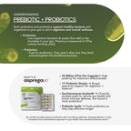 probiotics for men with 10 CT