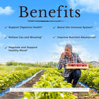 probiotics for men with 120 billion CFUs