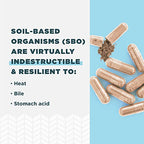probiotics for men with 25 billion CFUs