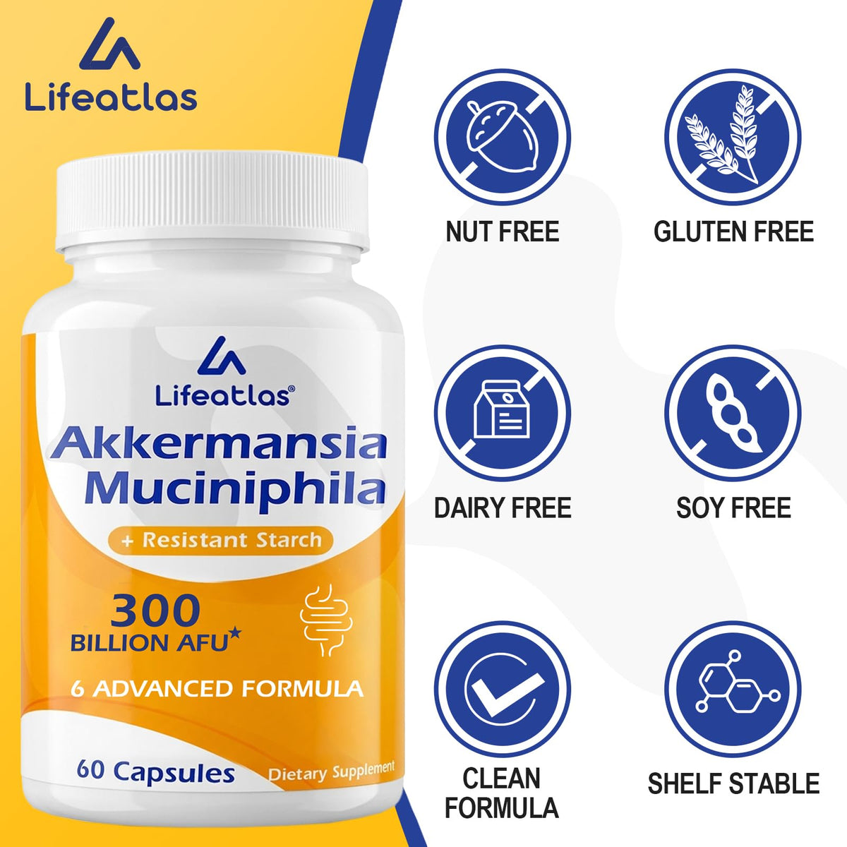 probiotics for men with 300 billion