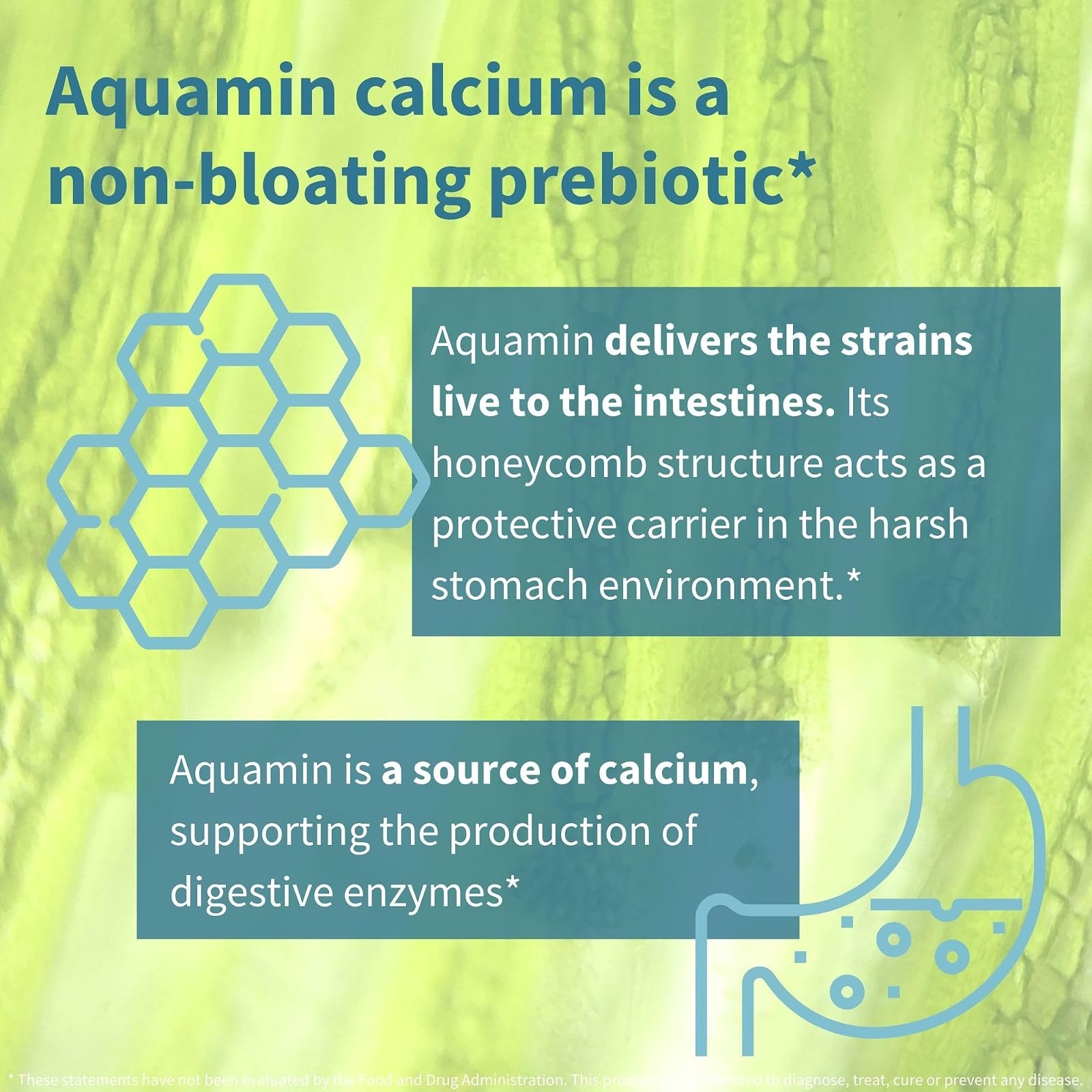 Probiotics for men with 50 billion CFU