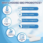 probiotics for men with 60 billion CFU