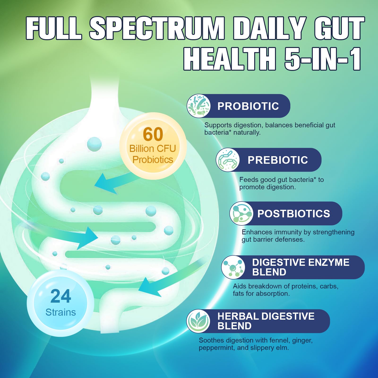 probiotics for men with 60 capsules