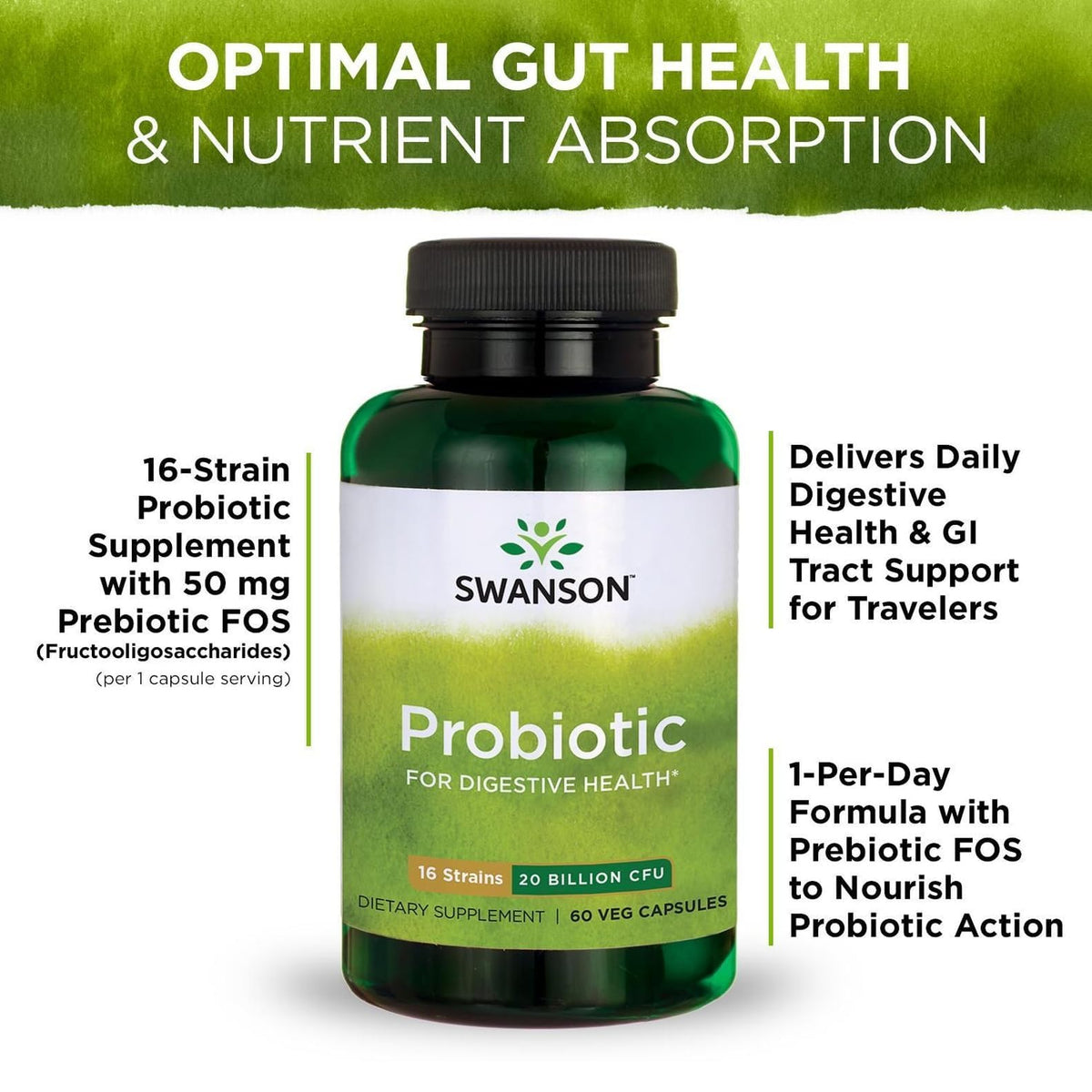probiotics for men with digestive support
