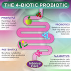 probiotics for men with gut balance