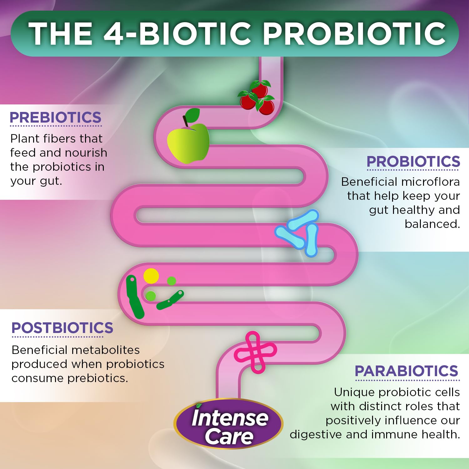 probiotics for men with gut balance