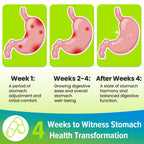 probiotics for men with gut balance