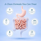 Probiotics for men with high potency