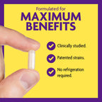 probiotics for men with mood enhancement