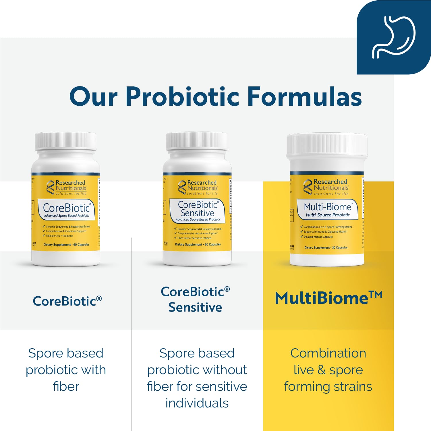 Probiotics for overall wellness and vitality