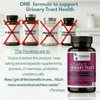 probiotics for urinary tract health