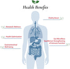 probiotics for women and men