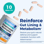 probiotics for women digestive health