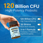 probiotics for women digestive health