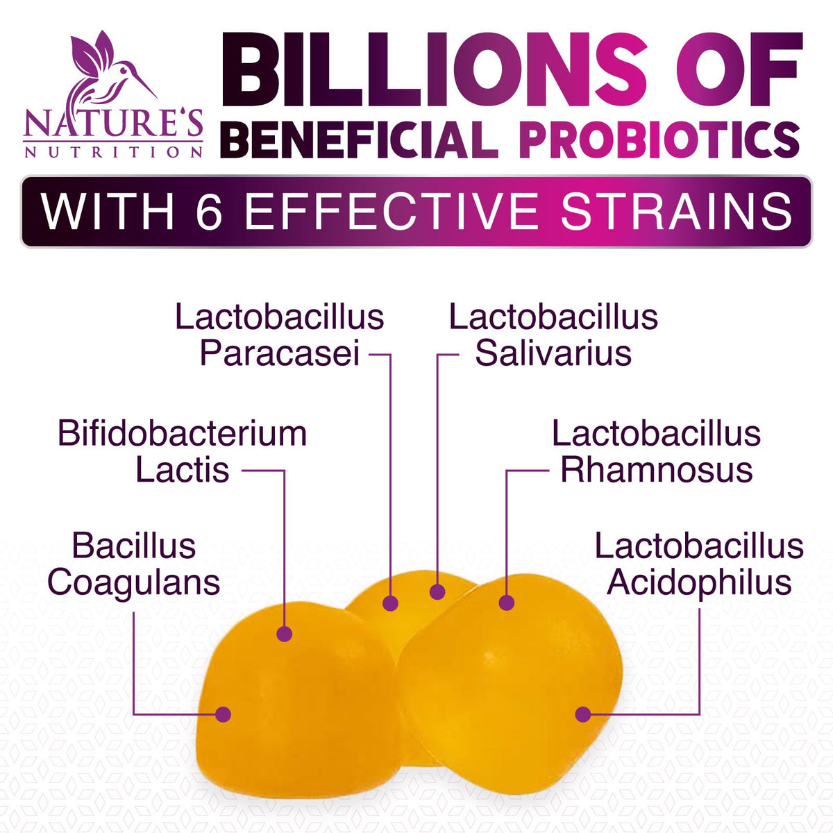 probiotics for women digestive support