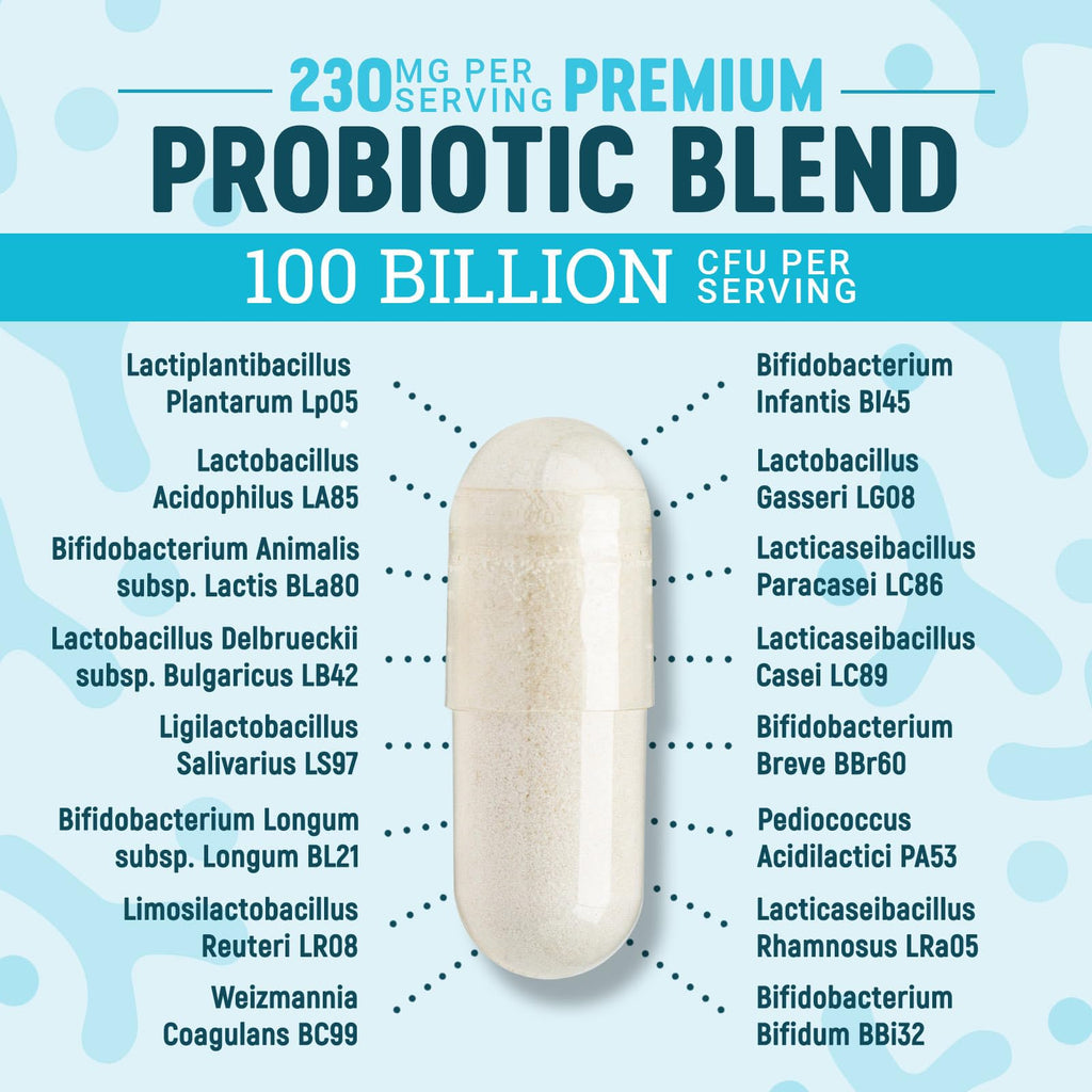 probiotics for women digestive support