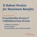 probiotics for women digestive support