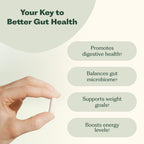 probiotics for women digestive wellness
