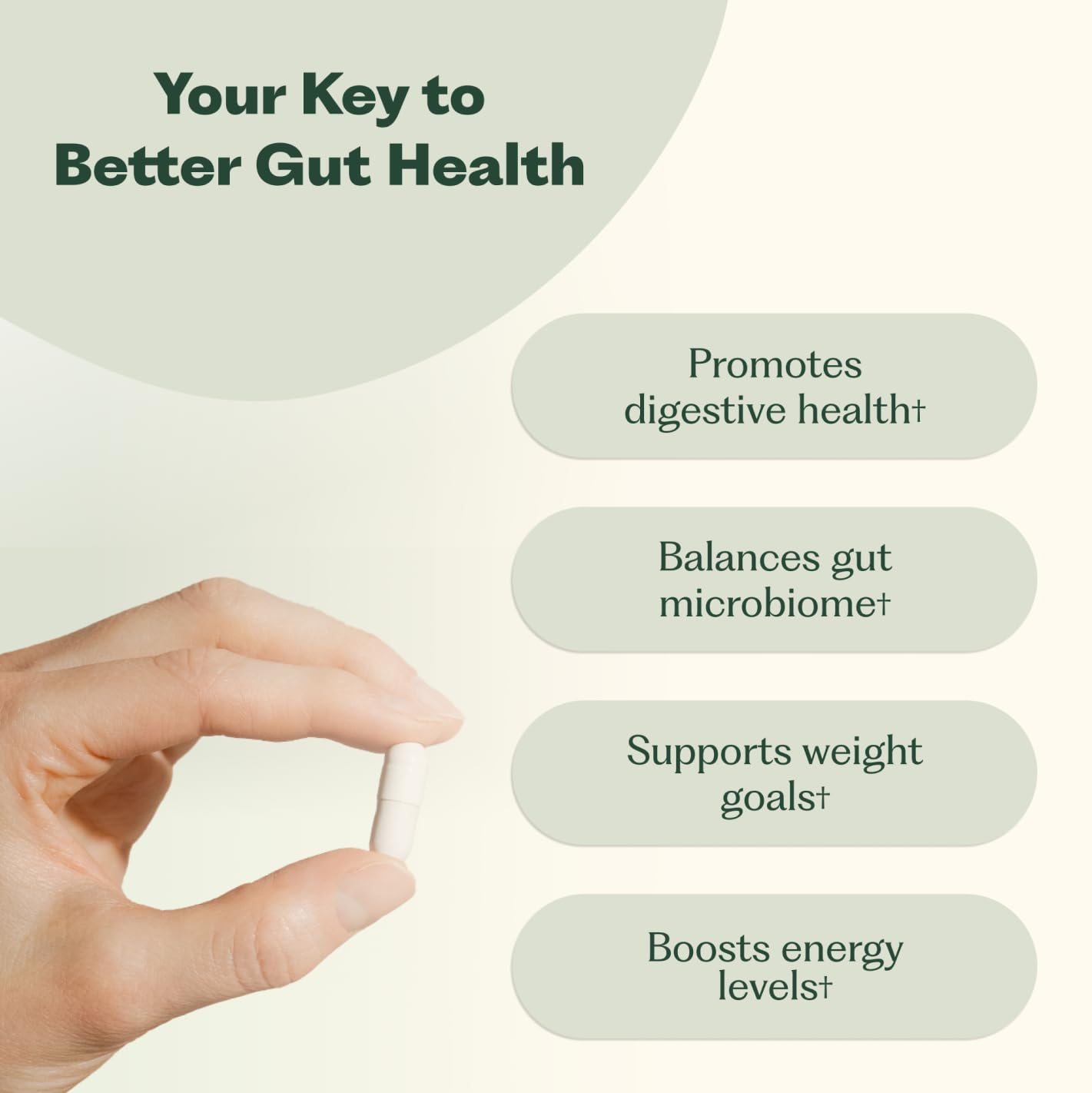 probiotics for women digestive wellness