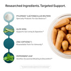 probiotics for women gut health