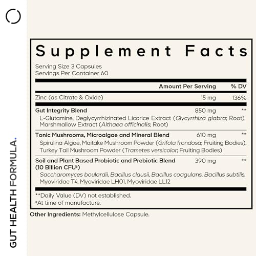 Probiotics for women gut health