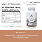 probiotics for women health support