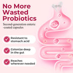 probiotics for women's digestive health