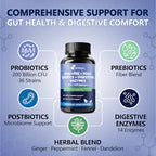 probiotics for women's digestive health