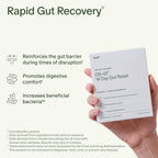 probiotics for women's digestive health