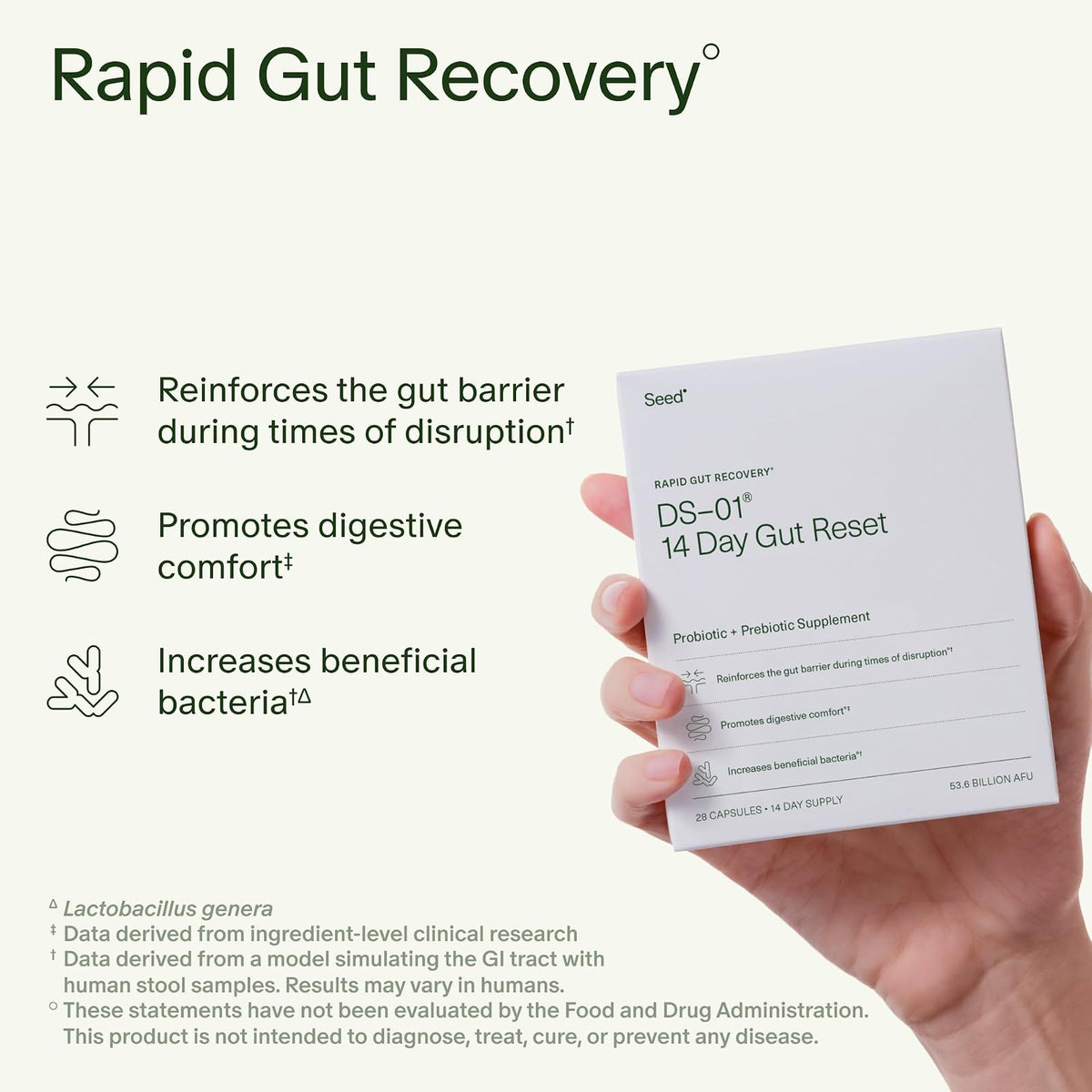probiotics for women's digestive health