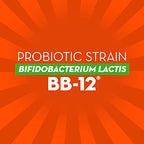 probiotics for women's digestive support
