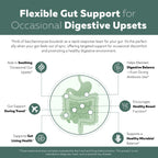 Probiotics for women’s gut health