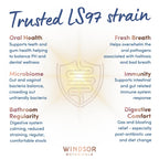 probiotics for women’s oral health