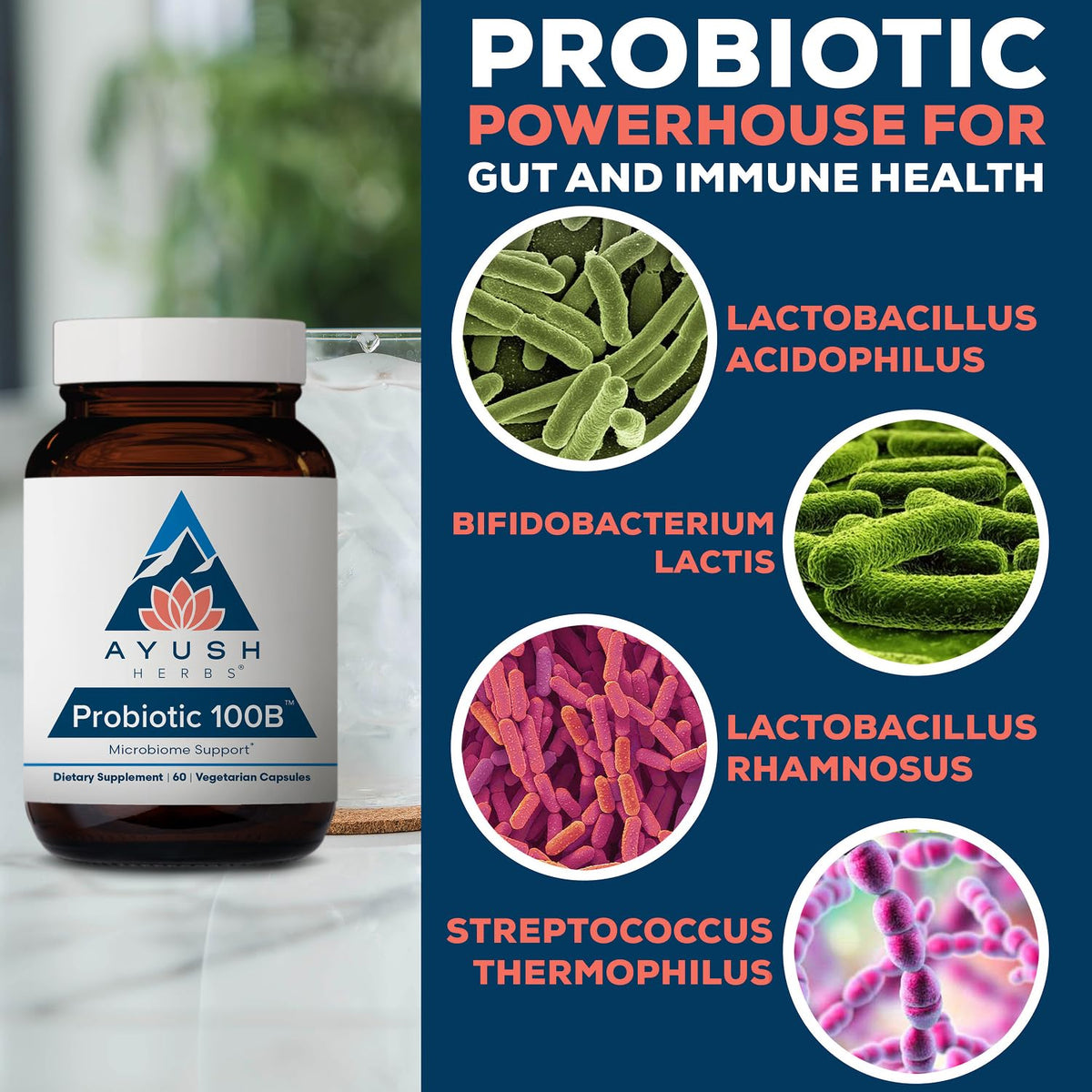 probiotics for women’s wellness support