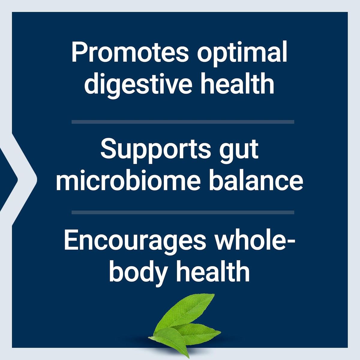 probiotics for women with 15 billion CFUs