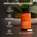 probiotics for women with 2 billion CFU