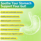 probiotics for women with H. Pylori