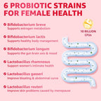 probiotics for women with menopause