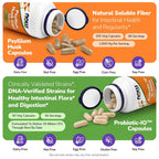 Probiotics for women with psyllium husk