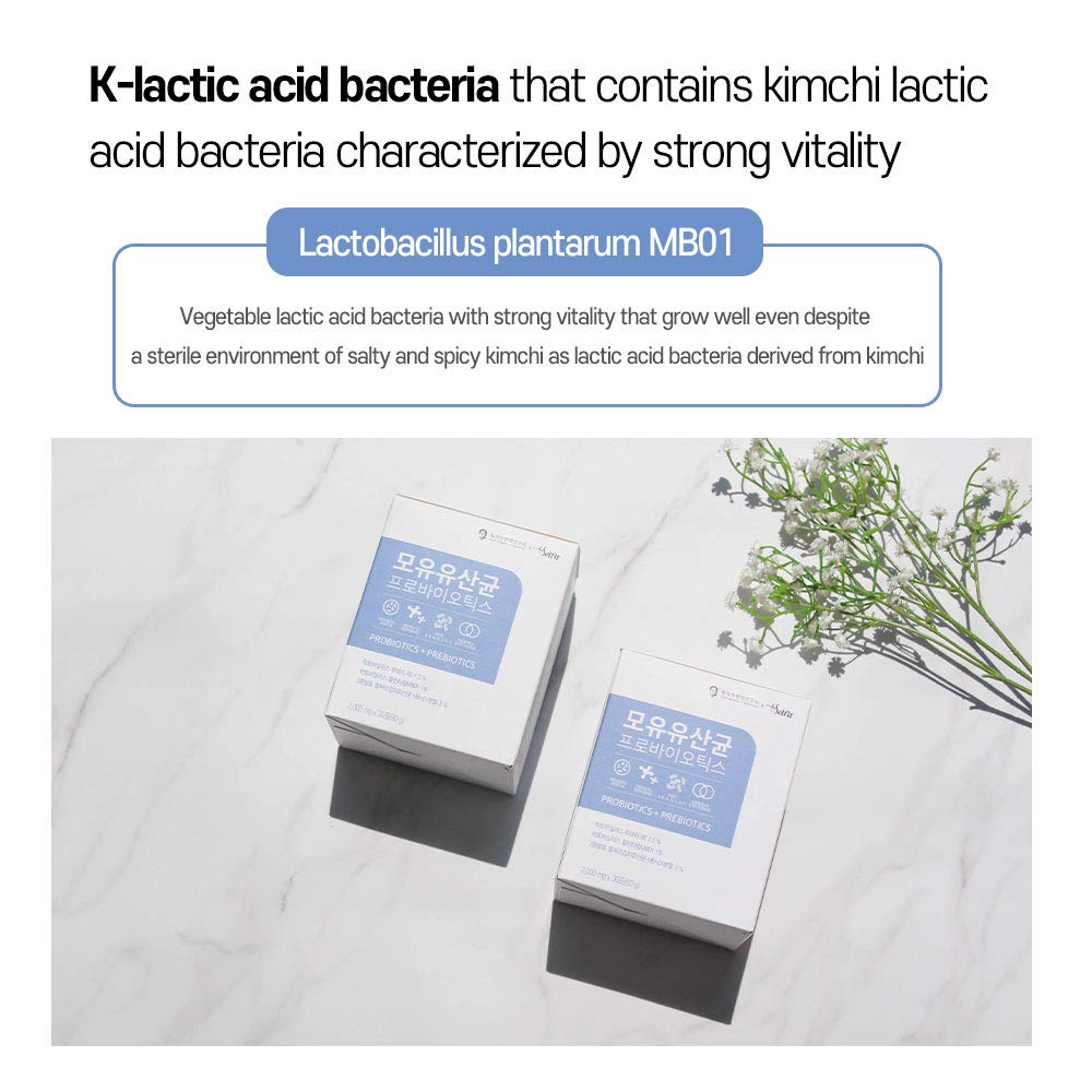 probiotics powder for adults and seniors