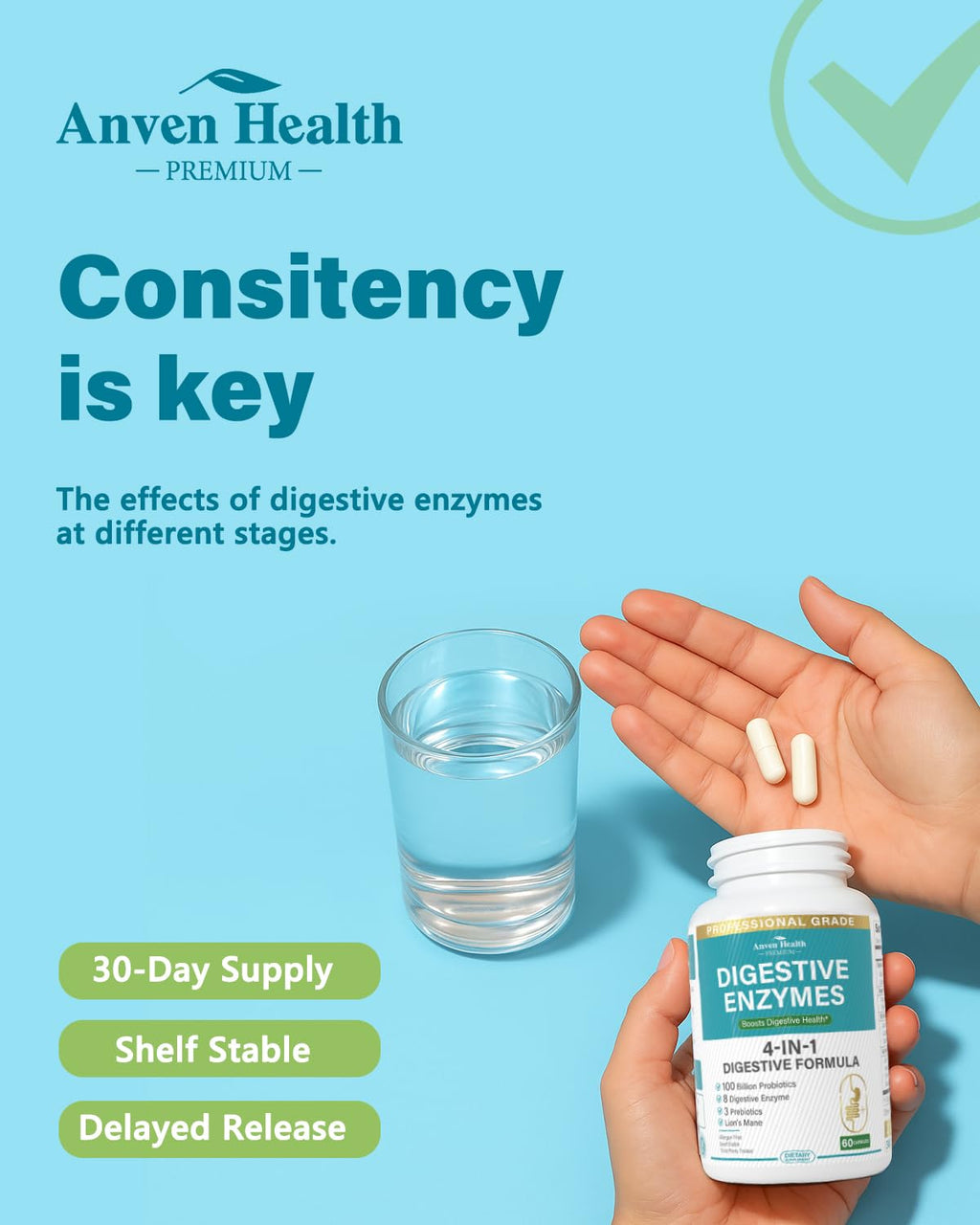 probiotics to enhance nutrient absorption
