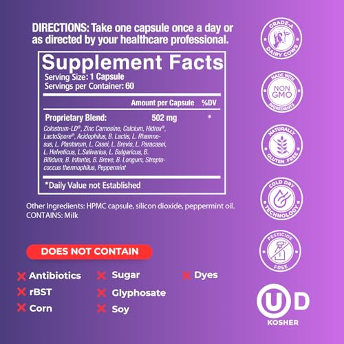 probiotics to support gut flora