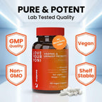 probiotics to support vaginal flora