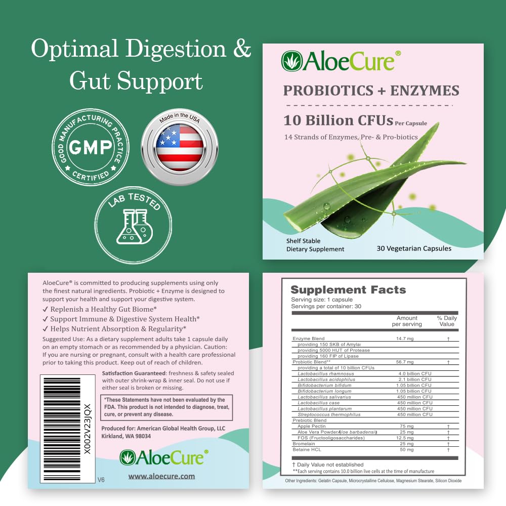 Probiotics with enzymes for better digestion