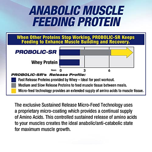 Probolic-SR protein for sustained energy