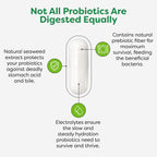 Probulin probiotics for men wellness