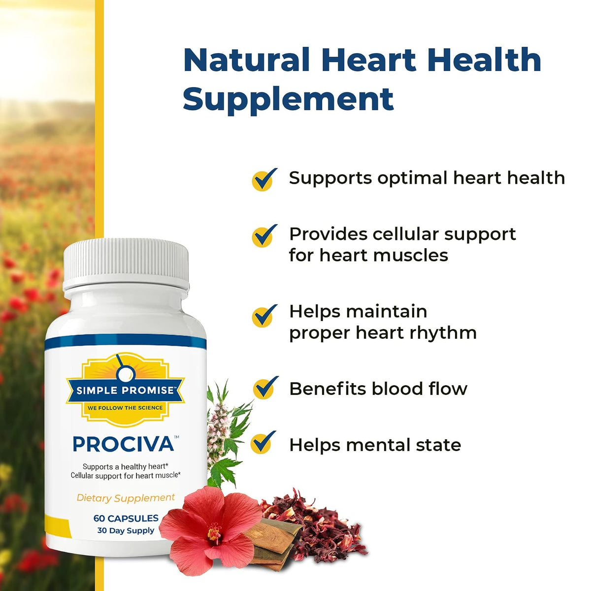 Prociva Arjuna for heart wellness