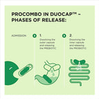 ProCombo digestive health support capsules