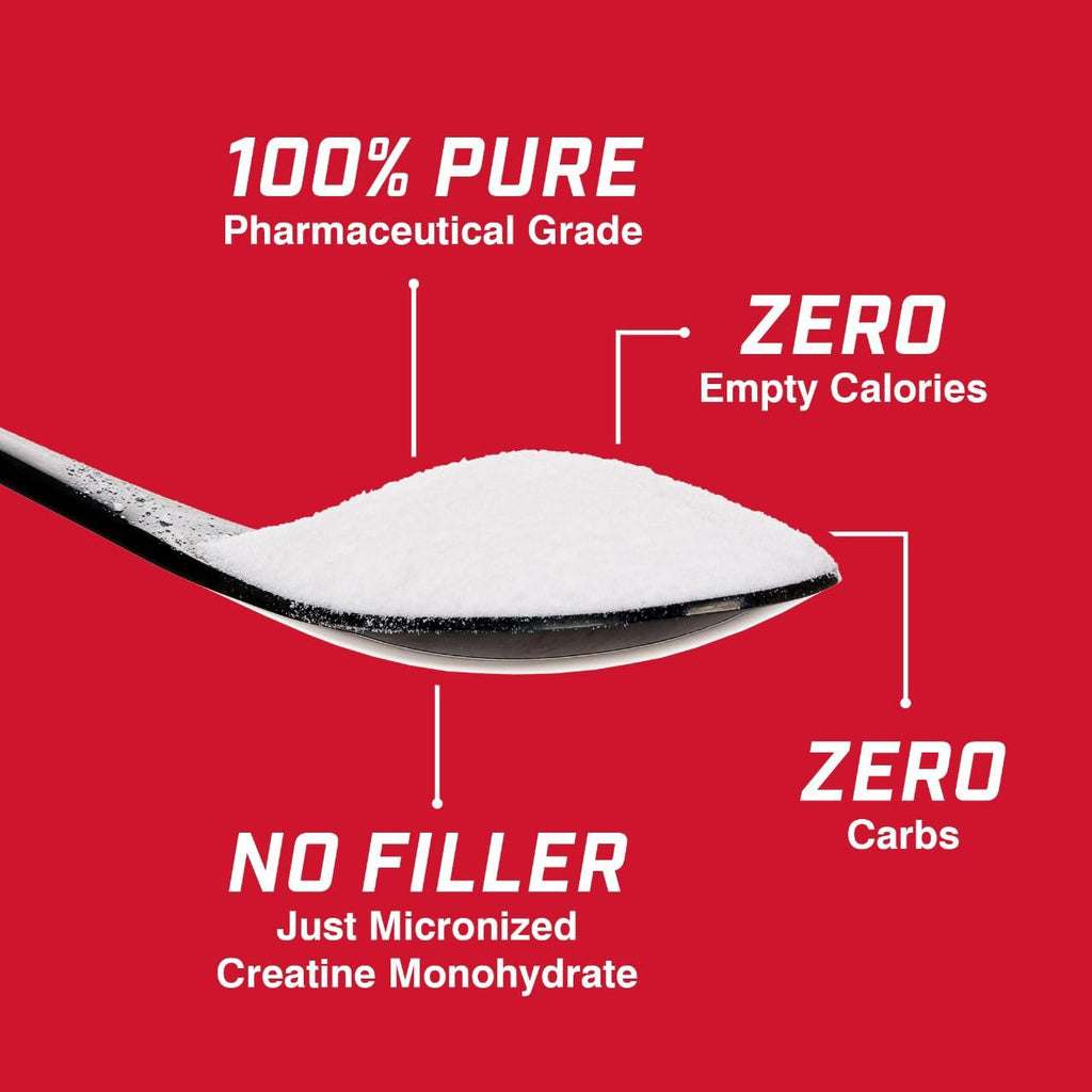 ProLab creatine for workout recovery