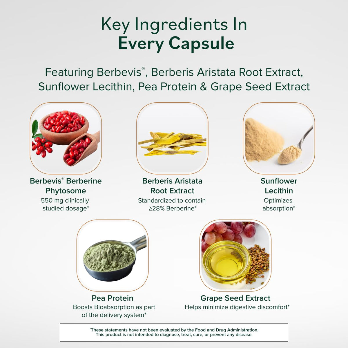 prominent nutrition herbal capsules